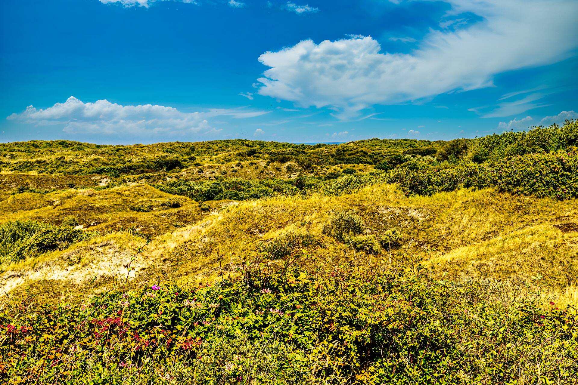 The TOP 15 North Sea Islands + Maps + Halligen + Danish