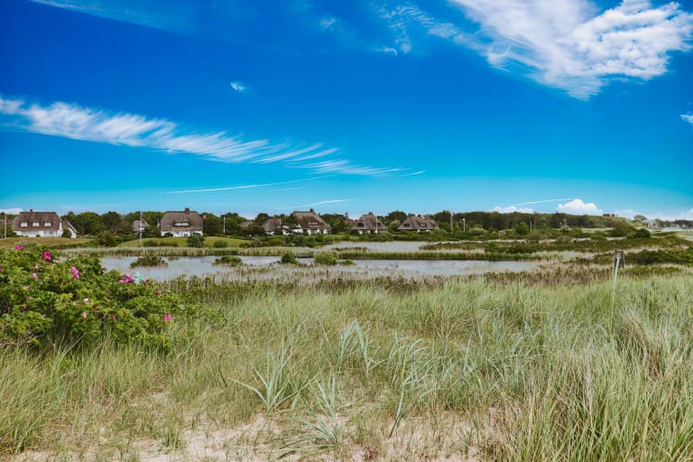 Island Föhr - Vacation, Day Trip, Arrival & Info