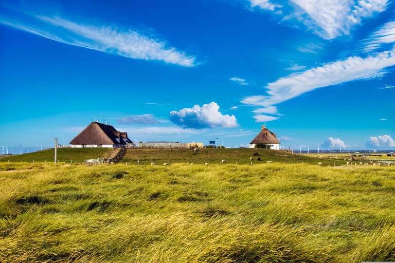 Hallig Hooge - eine einzigartige Hallig an der nordfriesischen Küste ...