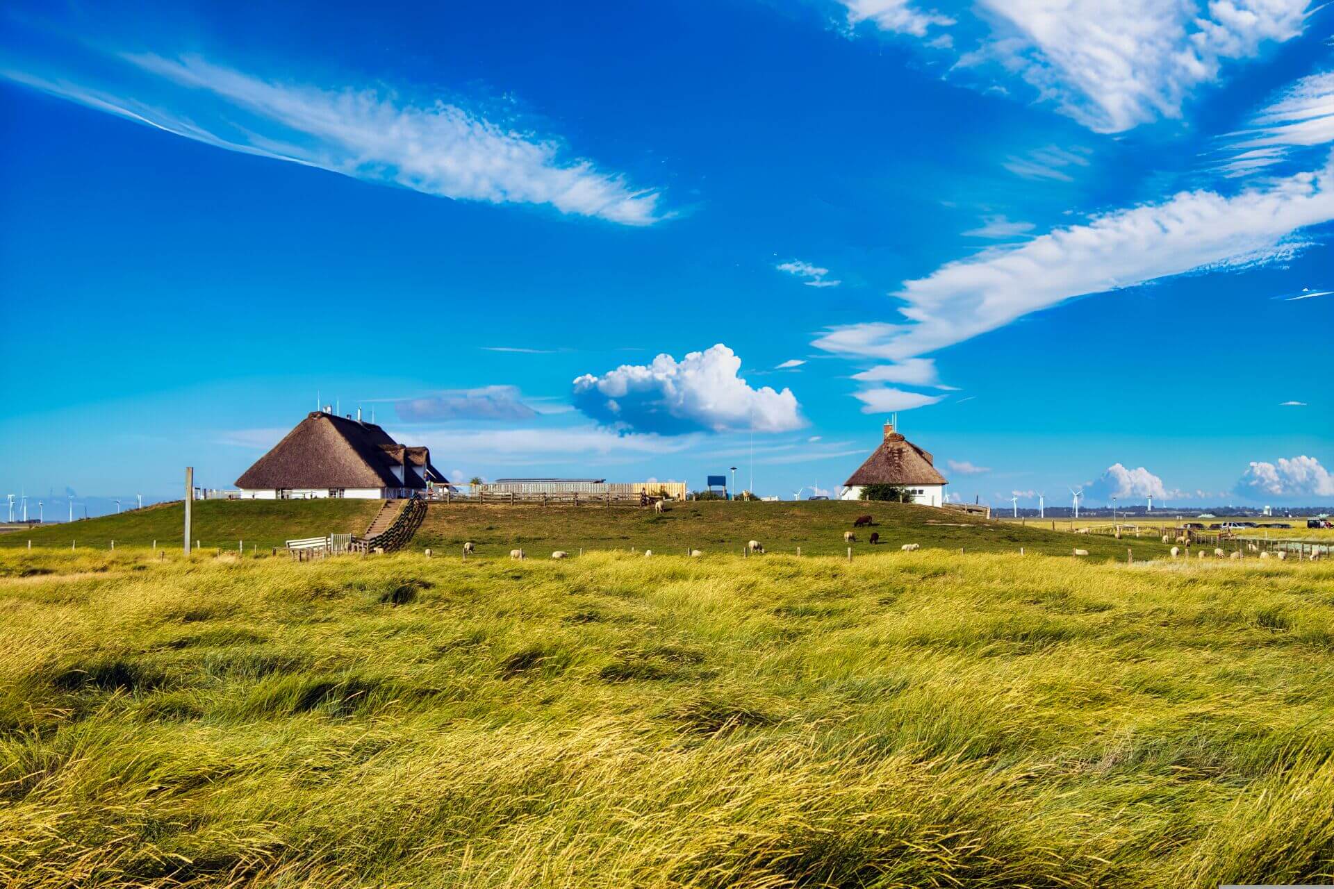 Die TOP 15 Nordseeinseln + Karten + Halligen + Dänische