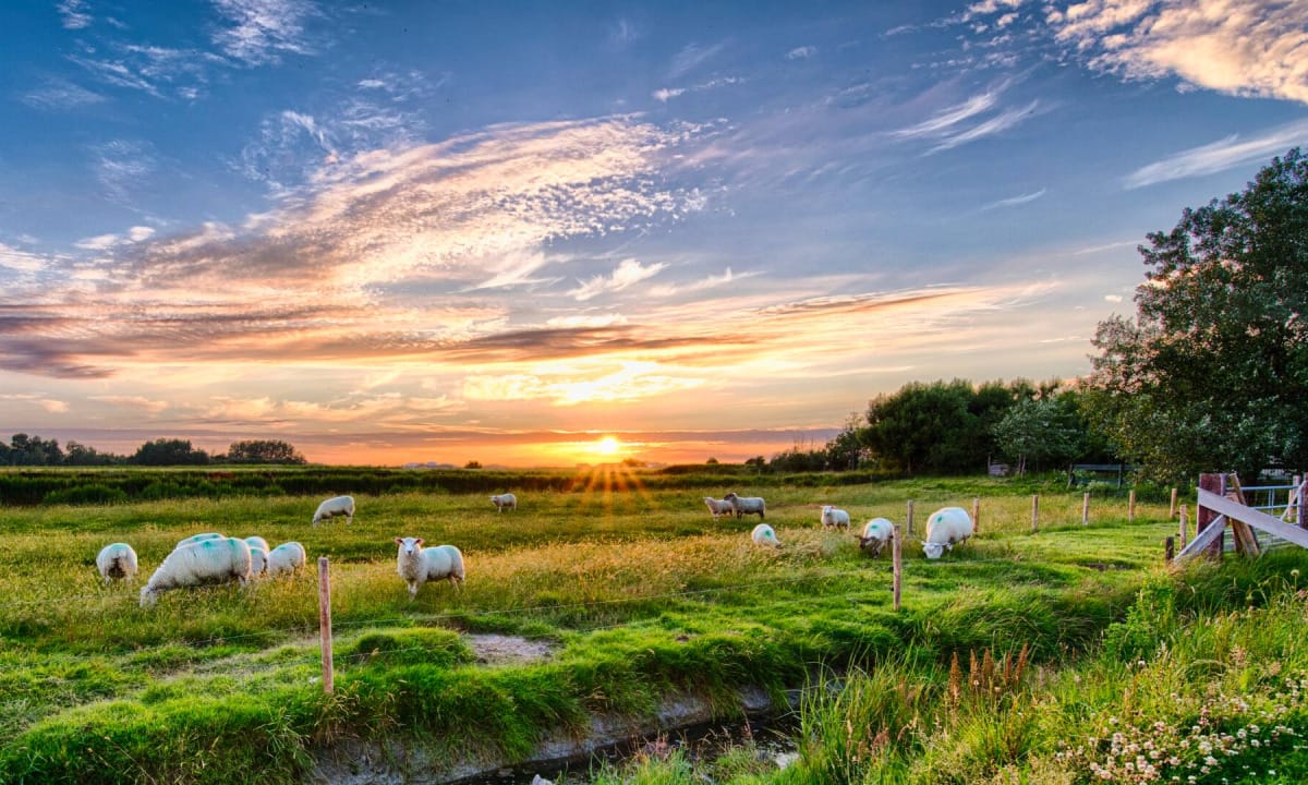 North Sea travel guide - vacation, North Sea islands, Wadden Sea