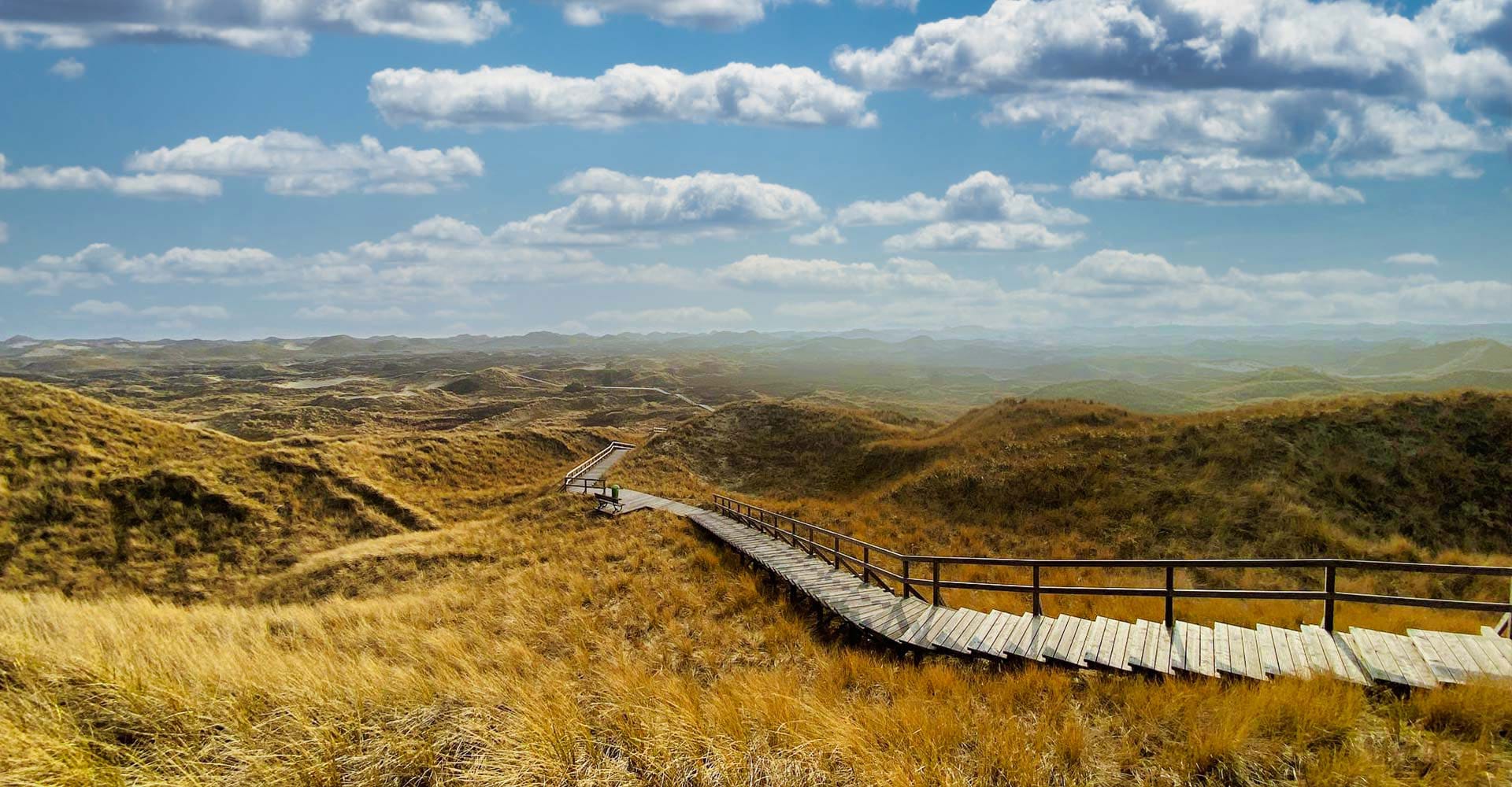 Amrum - vacation, day trip, arrival & info