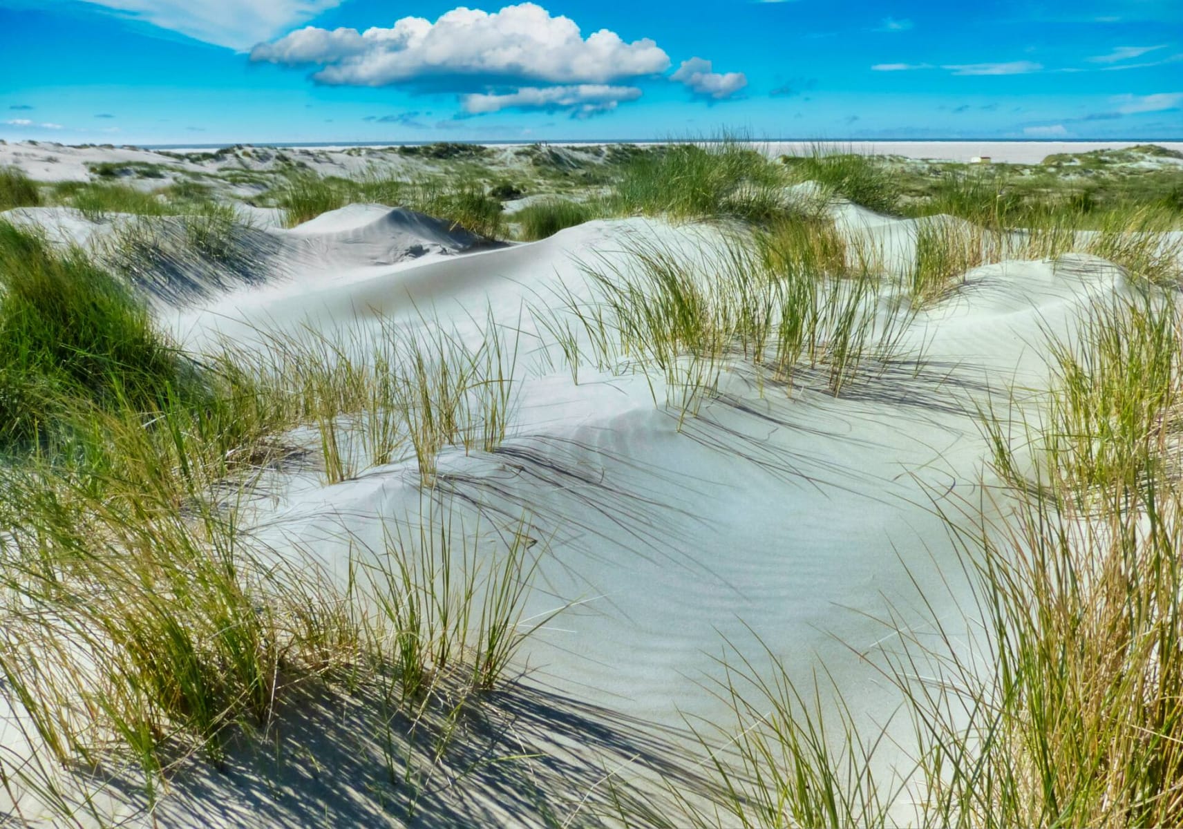 The Wadden Sea - Information about the Wadden Sea National Park (UNESCO ...