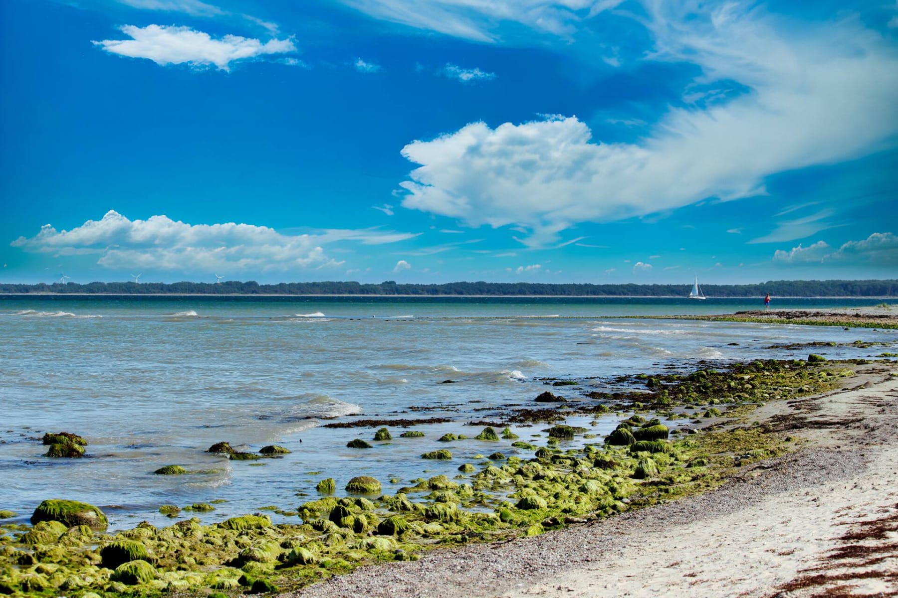 North Sea Halligen - Vacation, Day Trip, Arrival & Info