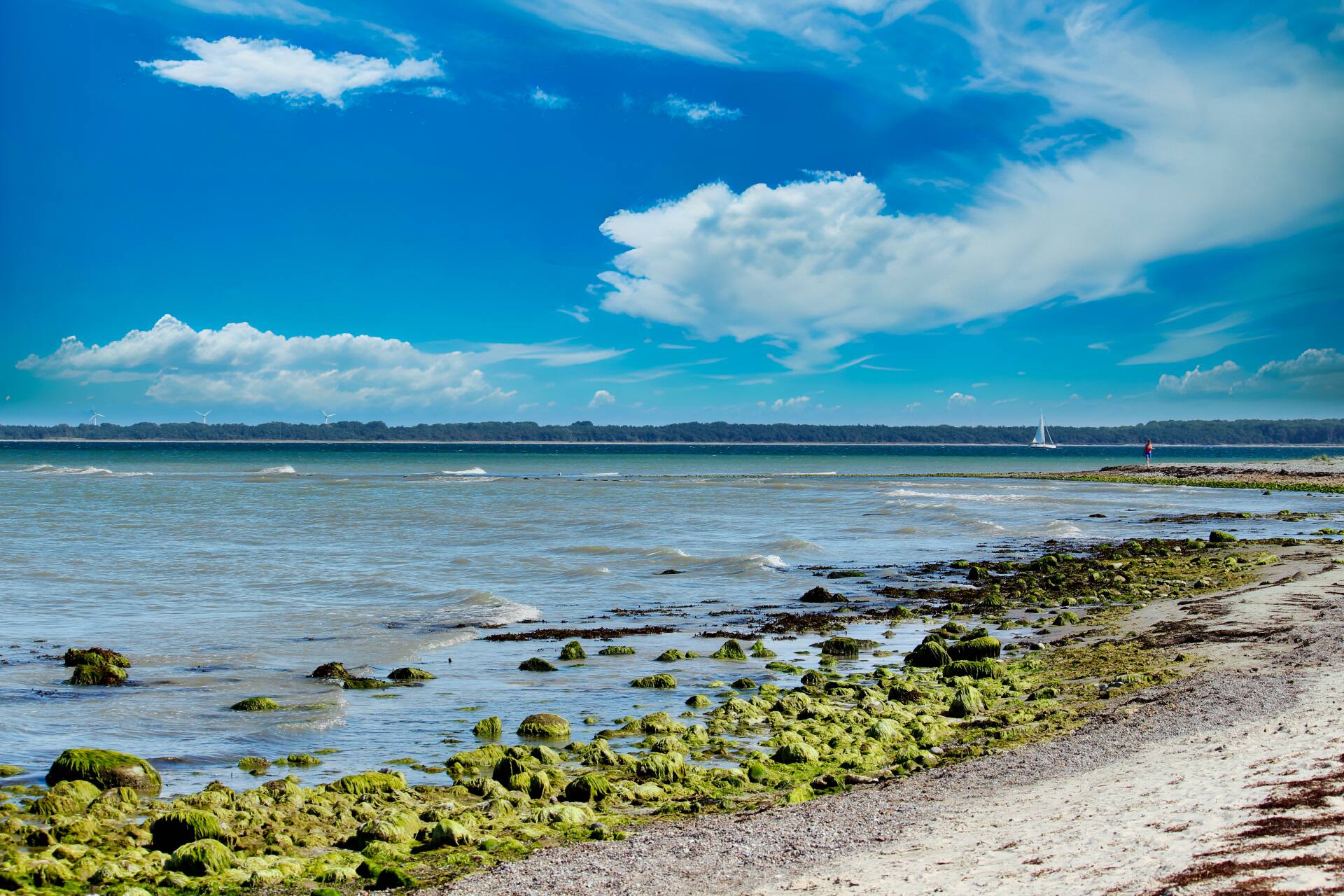 North Sea Halligen - Vacation, Day Trip, Arrival & Info