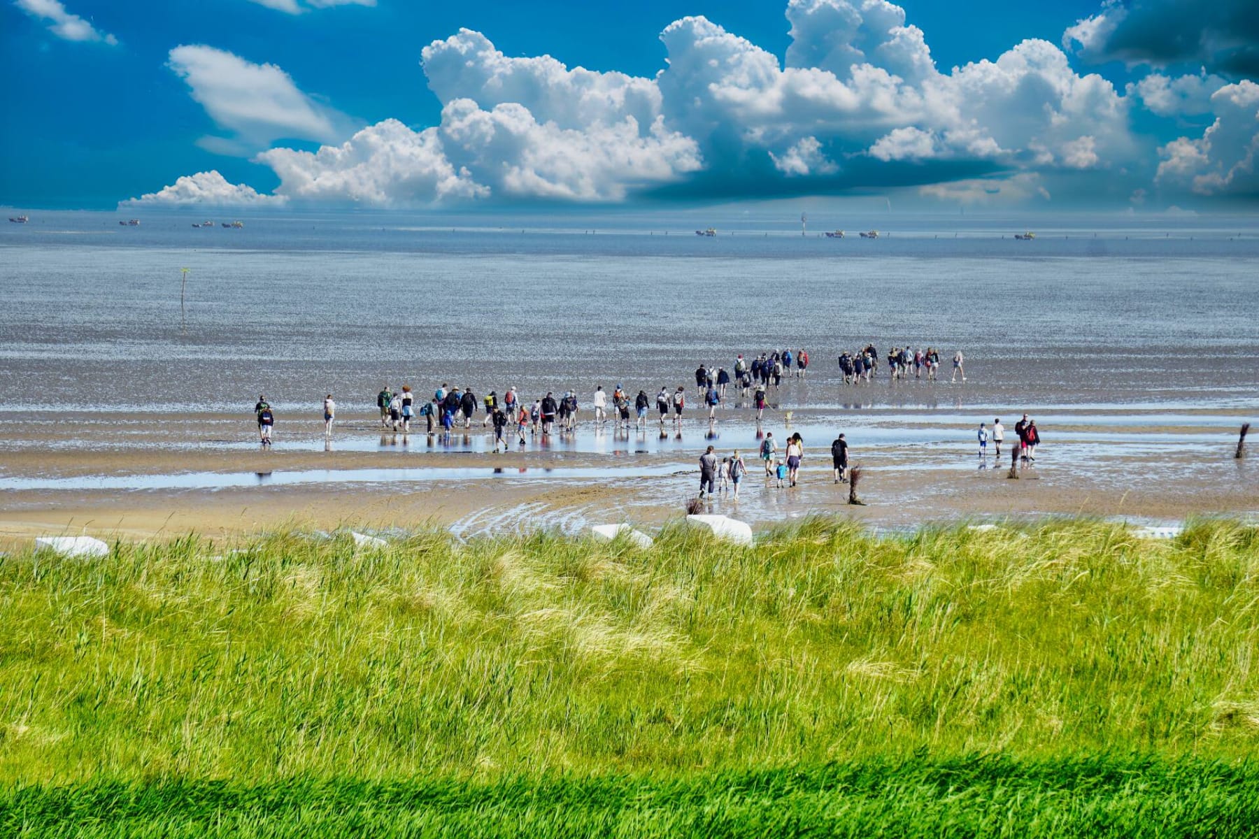 North Sea travel guide - vacation, North Sea islands, Wadden Sea